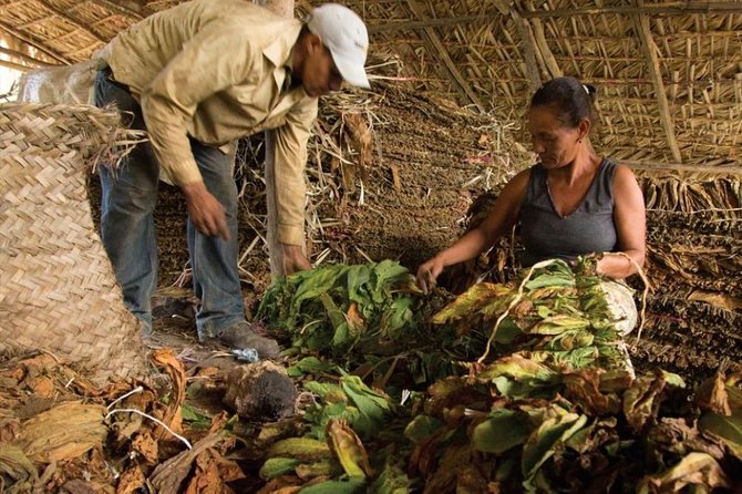Higuey City Tour - A Cultural Experience From Punta Cana | Power Traveller