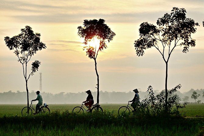 Hoi An Countryside By Bike | Power Traveller
