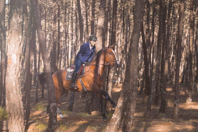 Horse Riding in the Countryside | Power Traveller