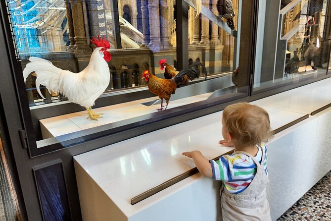 Kid-Friendly Natural History Museum & Dinosaurs Private Guided Tour in ...