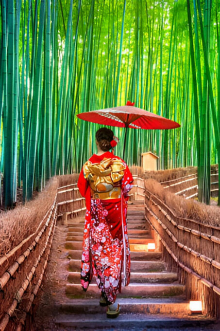 Kyoto Private Group Tour With Maximum Attractions | Power Traveller