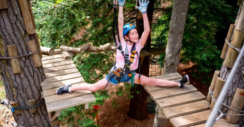 Launceston: Hollybank Tree Ropes Course | Power Traveller