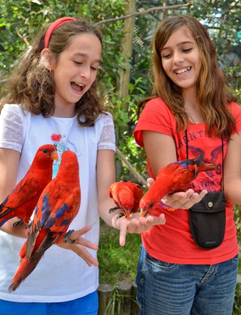 Lisbon Tailored, Fun and Private Photo Shoot | Power Traveller