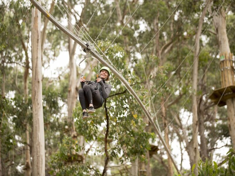 Lorne: Live Wire Park Ticket With Zip Line Rollercoaster | Power Traveller