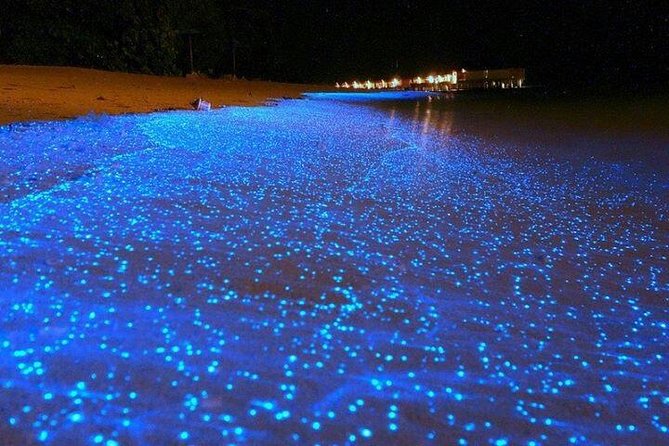 Luminous Lagoon Night-Time Tour From Montego Bay | Power Traveller
