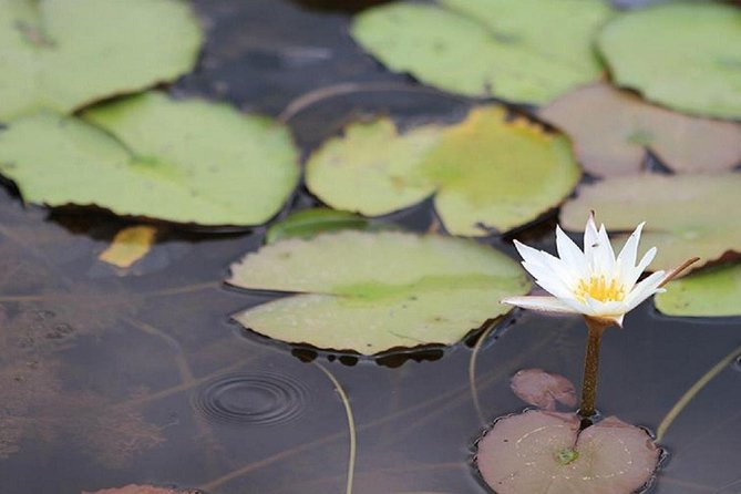 Mekong Delta Full Day by Speed Boat | Power Traveller