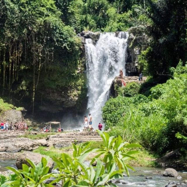 Monkey Forest,Temple, Waterfall, Rice Terrace & Art Villages | Power ...