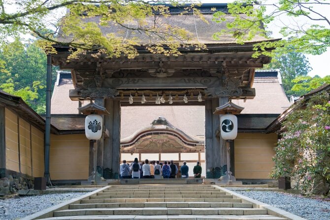 Mount Koya, Wakayama and Nachi Waterfall Tour | Power Traveller