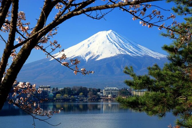 Mt.Fuji, Oishi Park & Arakurayama Sengen Park Bus Tour From Tokyo ...