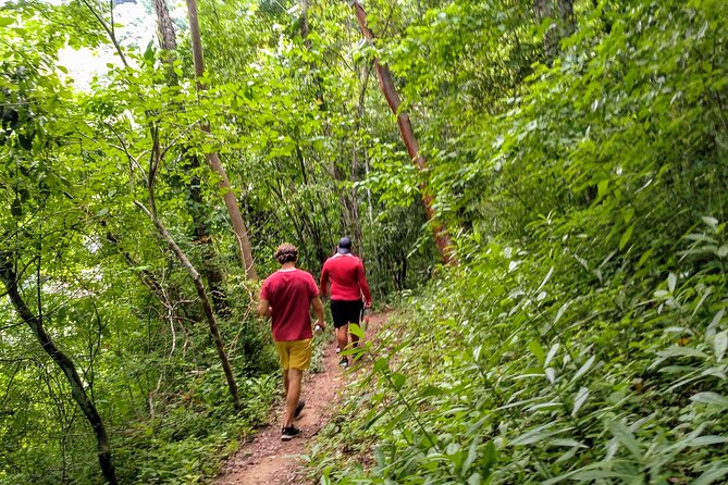 Natural Route, Hiking, Snorkeling and Boat Ride | Power Traveller