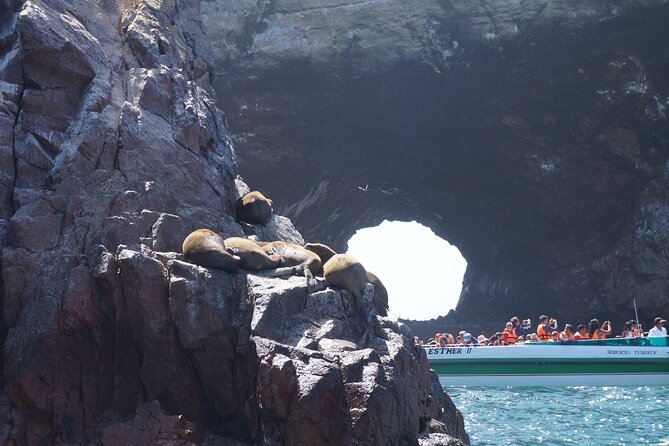 Nazca Lines and Ballestas Islands Full Day | Power Traveller