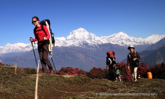 Nepal: Annapurna Base Camp (Abc) Trek From Kathmandu | Power Traveller