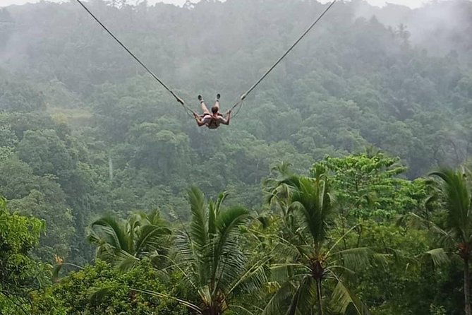No. 1. of Ubud Activites Tour - Bali | Power Traveller