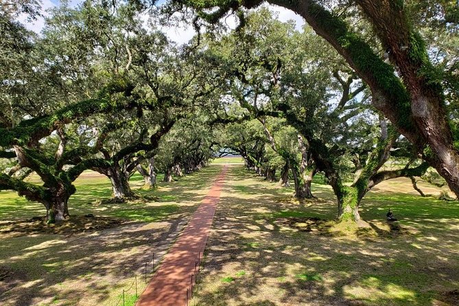Oak Alley Plantation Tour With Transportation | Power Traveller