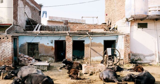 Old Delhi Slum Tour | Power Traveller