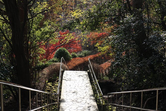 One Day Hike, Thrilling Mt. Nokogiri & Giant Buddha | Power Traveller