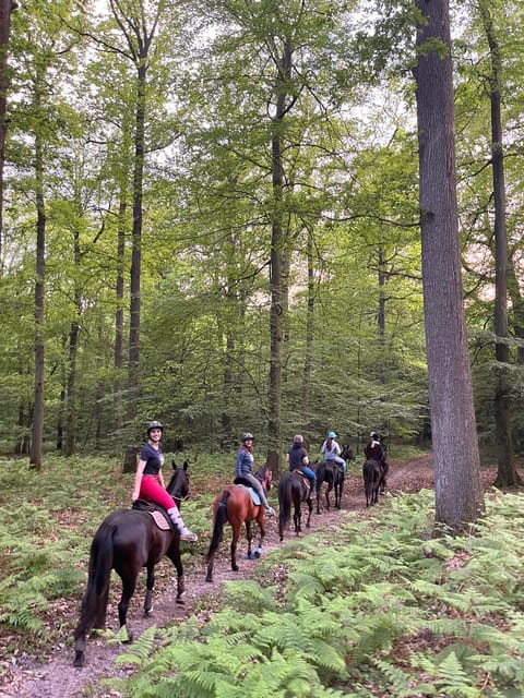 Paris: Aumont-en-Halatte Horseback Riding Tour | Power Traveller