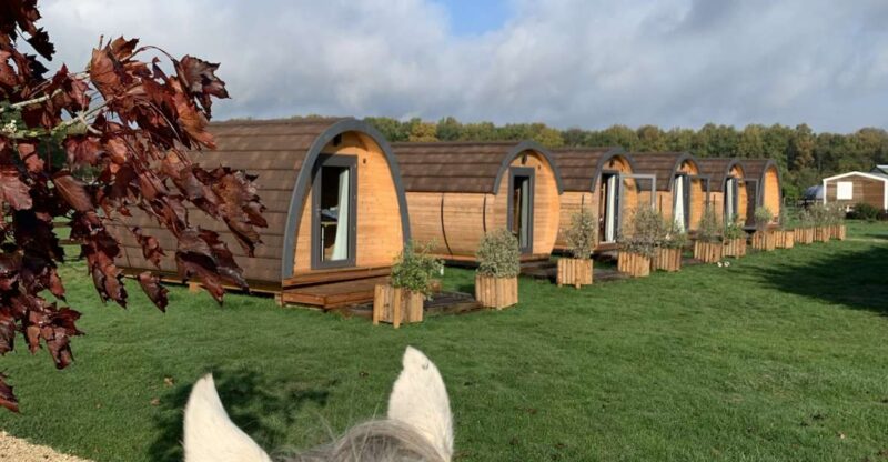 Paris : Horse Riding Camp With English Lessons in Senonches | Power ...