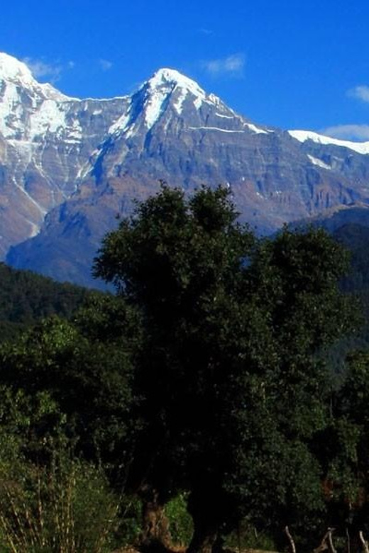 Pokhara: Guided Day Hike From Dampus To Australian Base Camp | Power ...