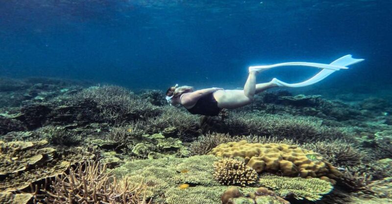 Port Barton: Full-Day Island Hopping Tour by Boat With Lunch | Power ...