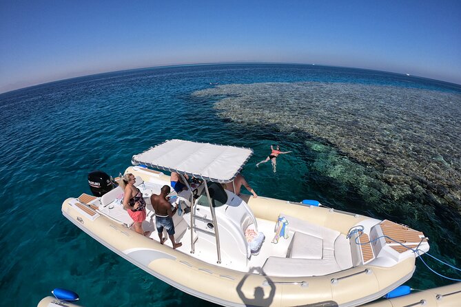 Private Dolphin Watching And Snorkeling Tour | Power Traveller