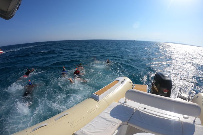 Private Dolphin Watching And Snorkeling Tour | Power Traveller