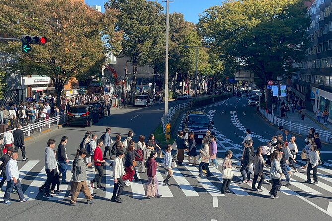 Private Tokyo Tour With Japanese Local Guide | Power Traveller