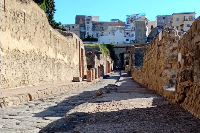 Private Tour in Herculaneum With an Authorized Guide | Power Traveller