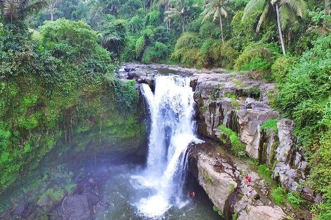 Private Ubud and Volcano Day Trip | Power Traveller