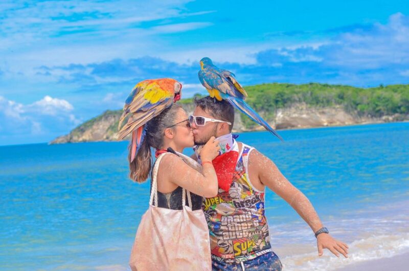 Punta Cana Buggies Through Fields and Beaches | Power Traveller