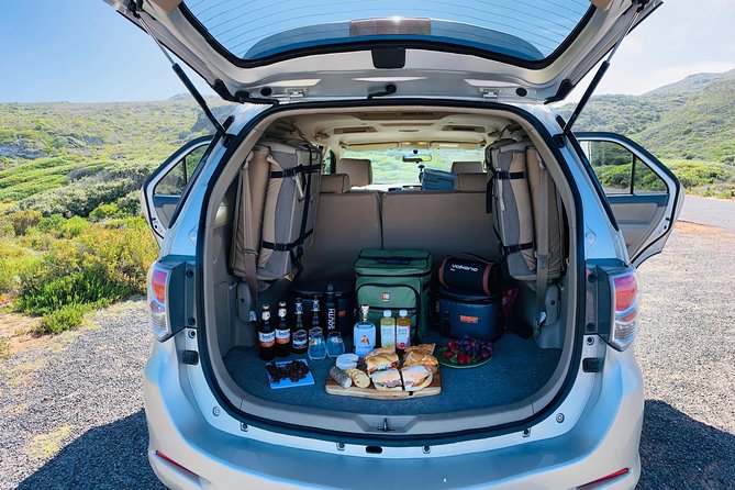 Revel in the Cape Peninsula (Penguins & Cape of Good Hope) | Power ...