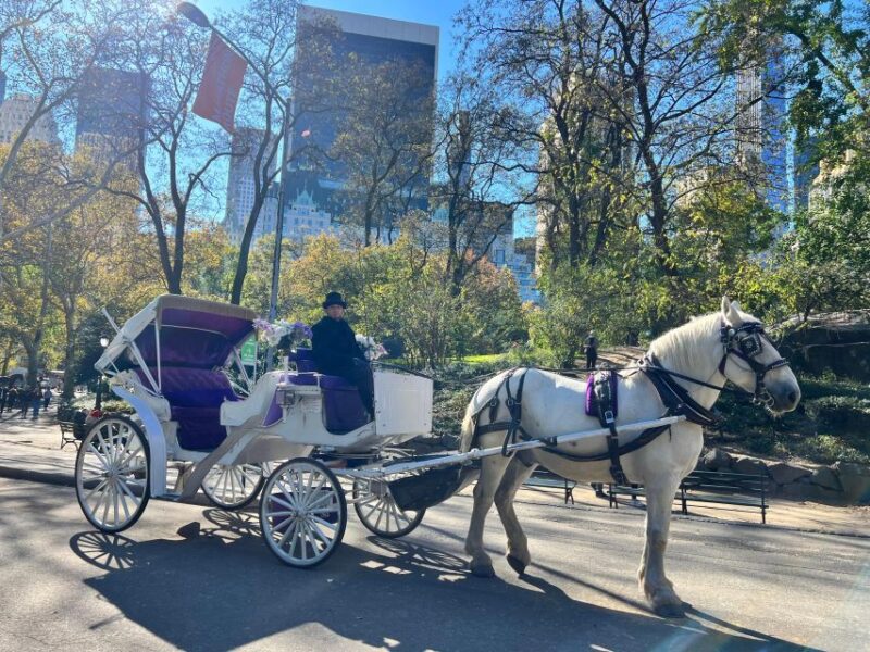 Royal Carriage Ride in Central Park NYC | Power Traveller