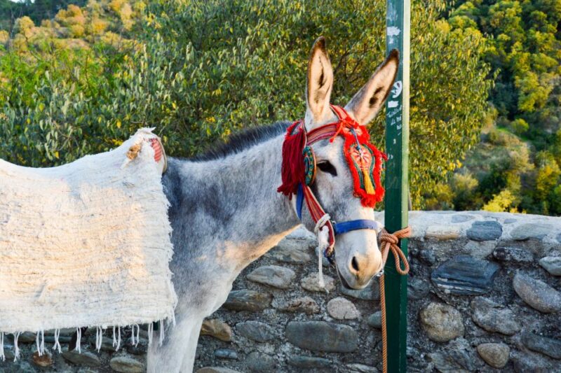 Sacromonte Caves Museum Admission Ticket | Power Traveller