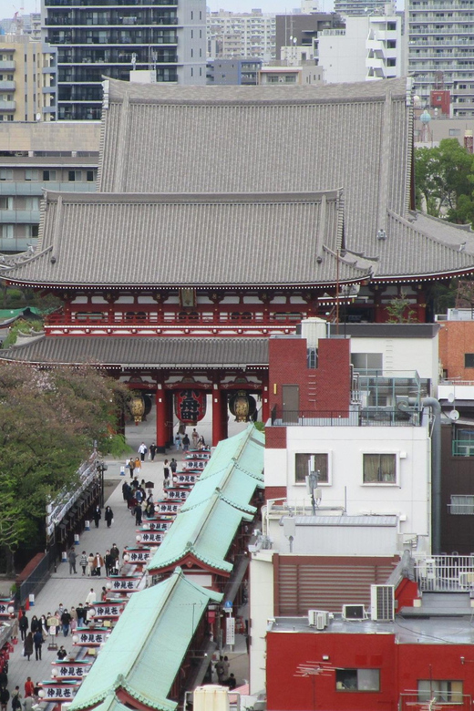 Shuttle Van Tour Tokyo for 4 Hours or 6 Hours | Power Traveller