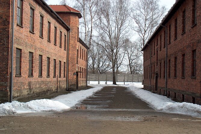 Small Group Auschwitz-Birkenau Guided Tour From Krakow ABTA | Power ...