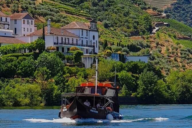 Small Group Douro Wine Valley Tour With Lunch and Wine Tasting | Power ...