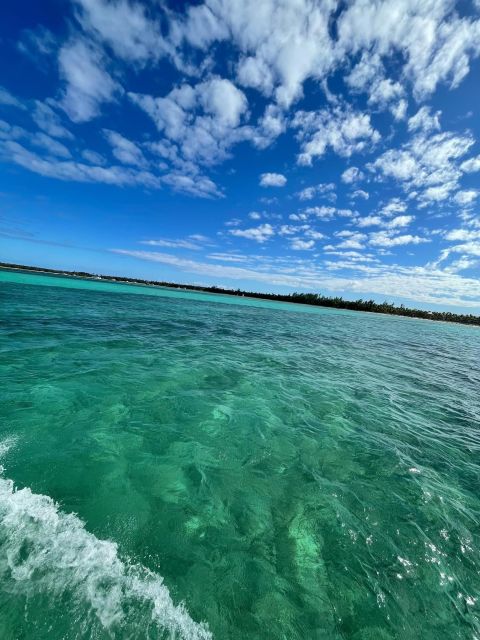 Speedboat Adventure: Exhilarating Experience in Punta Cana | Power ...