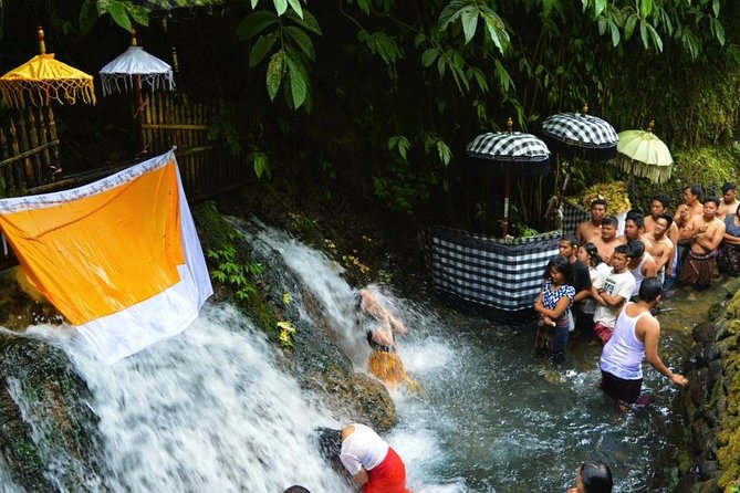 Spiritual Purification and Local Healer Visit Tour (ALL INCLUDED ...