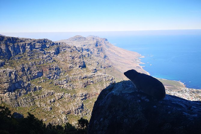 Table Mountain Half Day Hike: India Venster Trail | Power Traveller