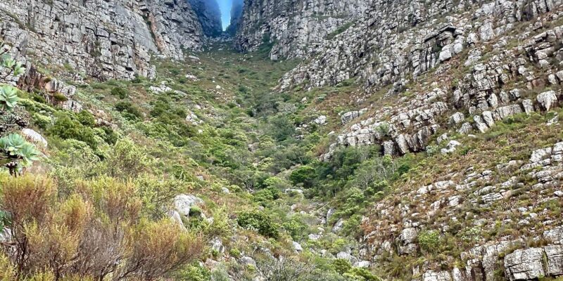 Table Mountain via Platteklip Gorge | Power Traveller