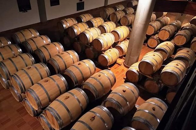 Tasting in a Cellar in Marsala and Tour of the Mothia Lagoon | Power ...