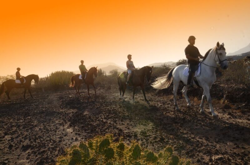 Tenerife: Horseback Ride With Instructor | Power Traveller