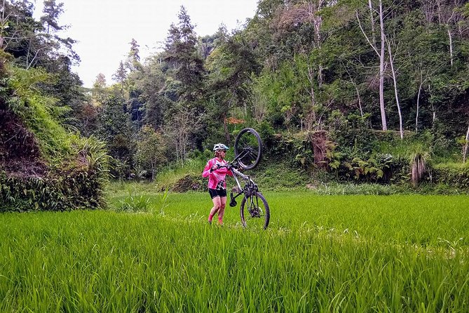 The Volcano Trail | Power Traveller