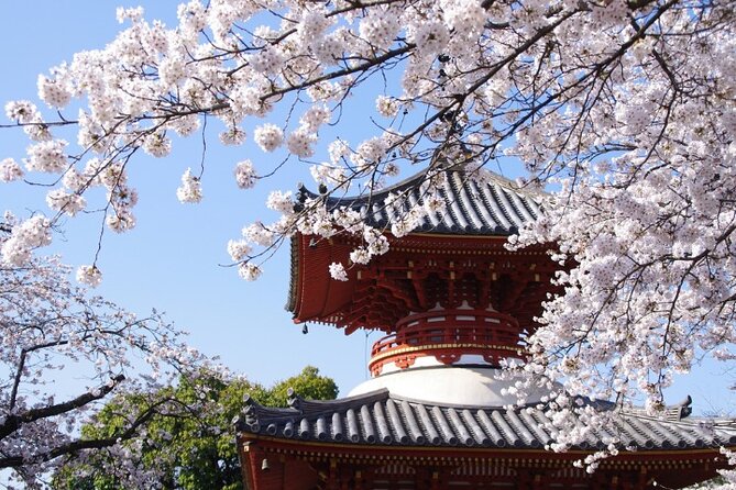 Tokyo Delicious Park, Oshino & Koedo Kawagoe, Mount Fuji | Power Traveller