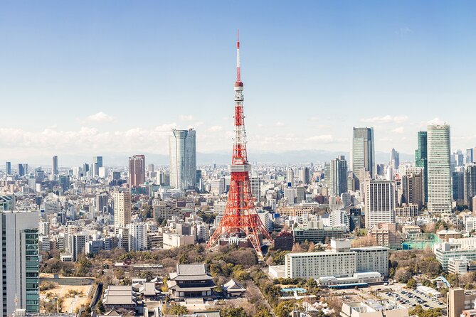Tokyo Market Skyline and City Guided Tour for Kids and Families | Power ...