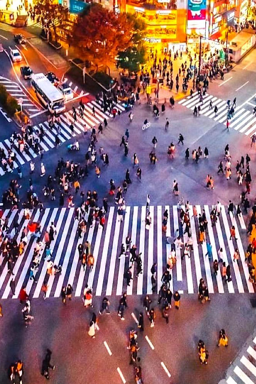 Tokyo Private Customizable Tour With a Local Guide | Power Traveller