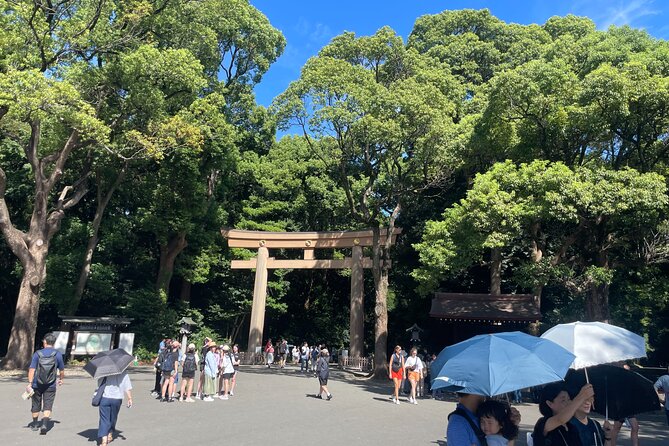 Tokyo Shibuya and Highlights Private Running Tour | Power Traveller