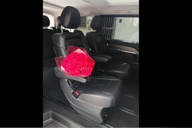 Transfer in Luxury Mercedes Benz Minivan | Power Traveller