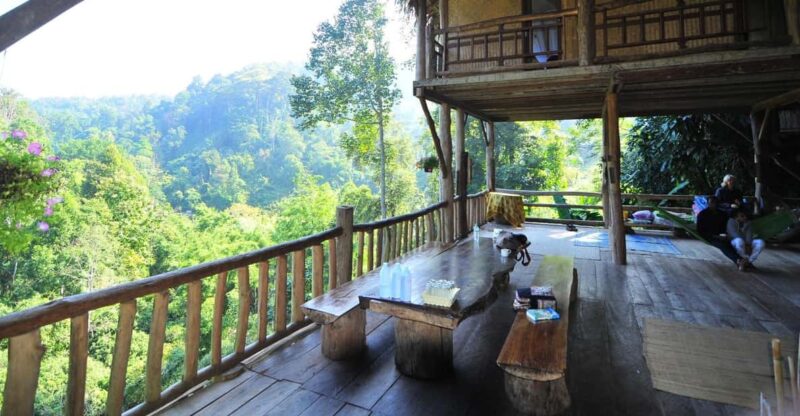 Tree House Stay + Sticky Waterfall & Caves | Power Traveller