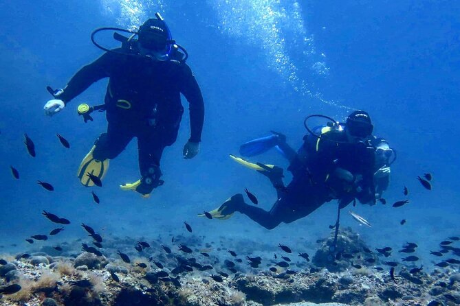Try Scuba Diving in Split | Power Traveller
